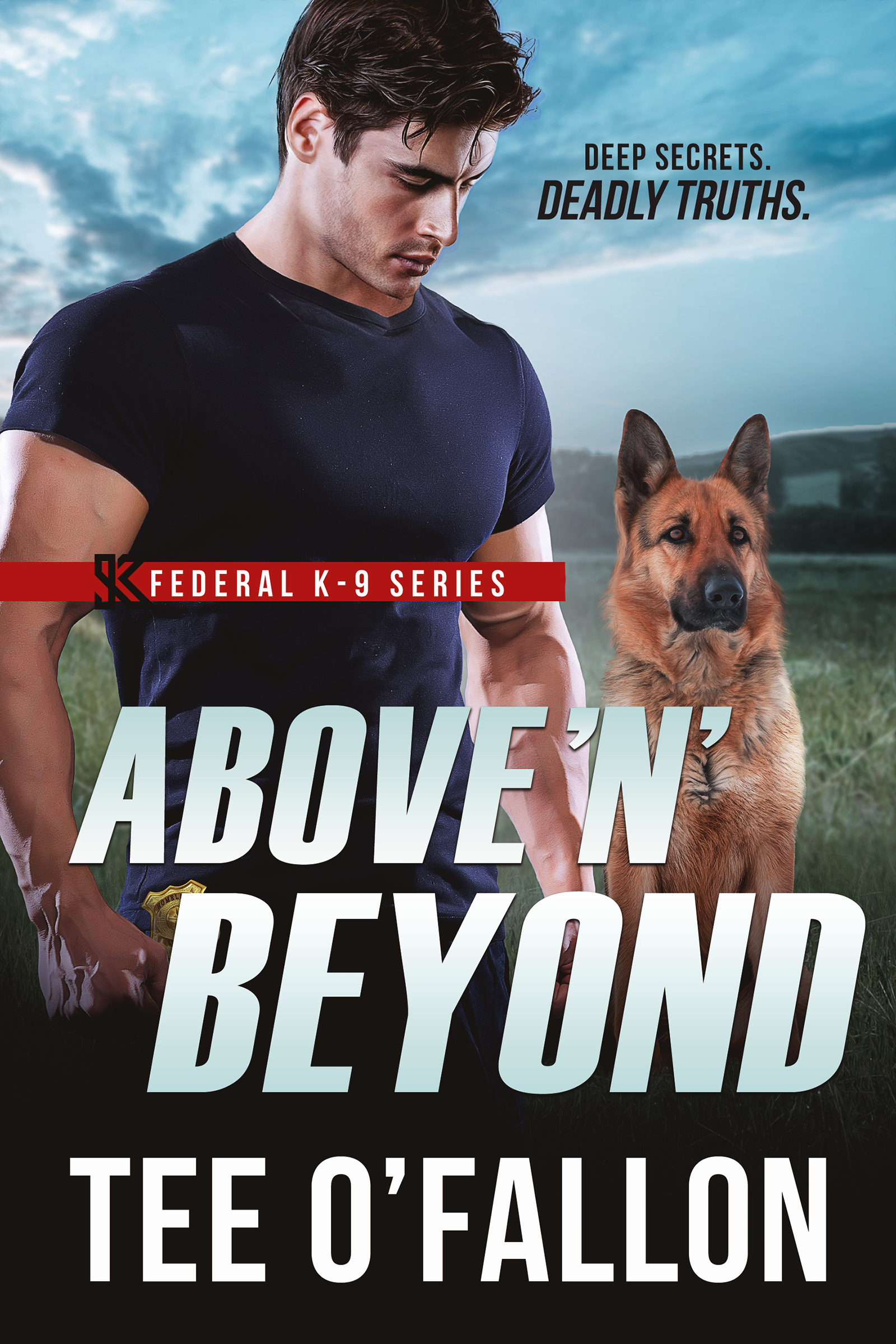 Stephanie’s Review of “Above ‘N’ Beyond” by Tee O’ Fallon – Functionally Fictional